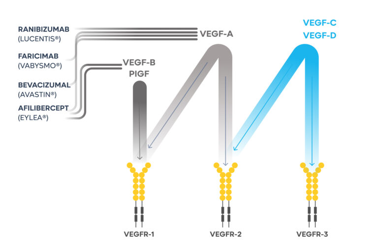 Opthea Science: Innovative Research for Wet AMD & Superior Vision